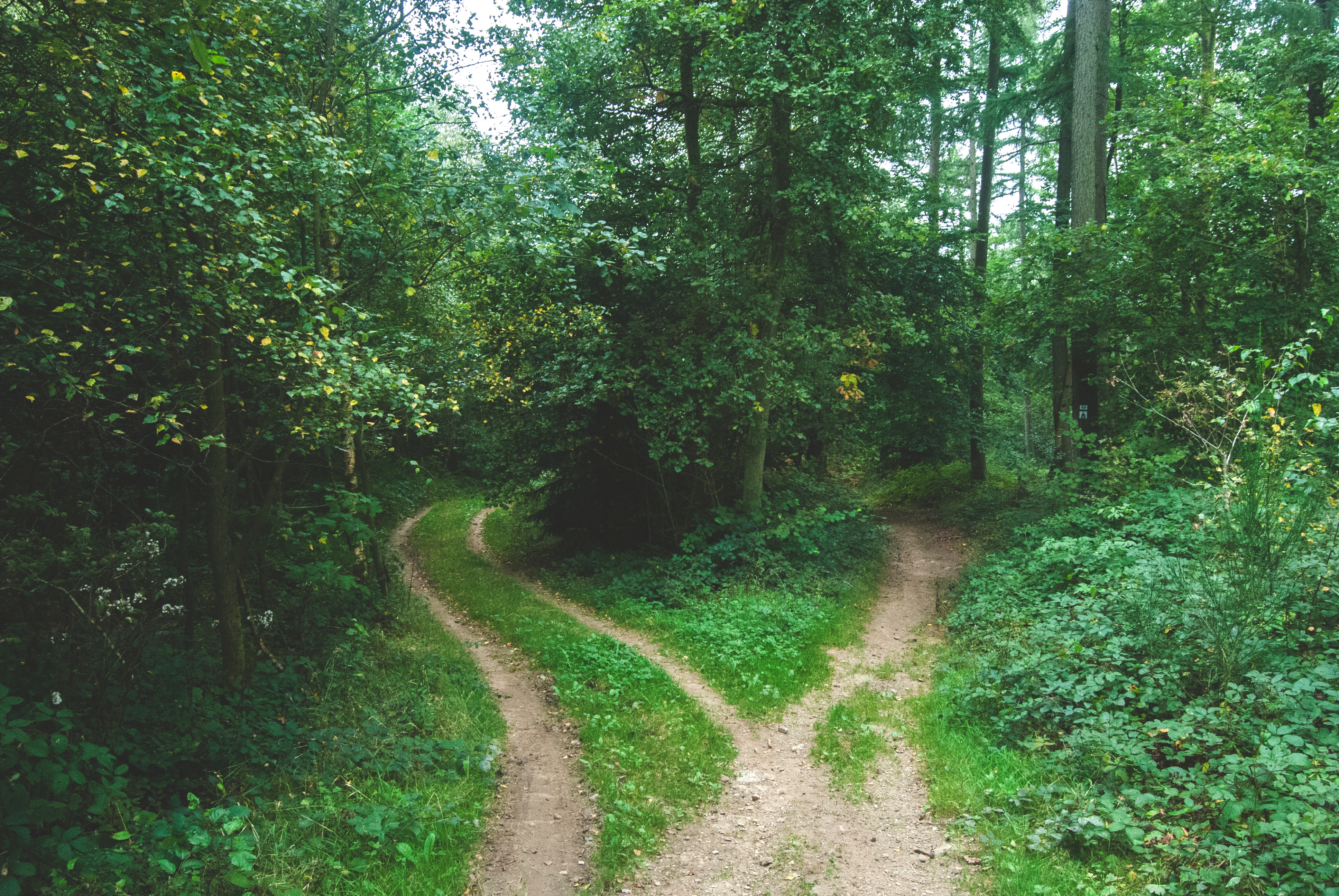 Conditional Statements In Javascript Tech Blog By Kartik Malik